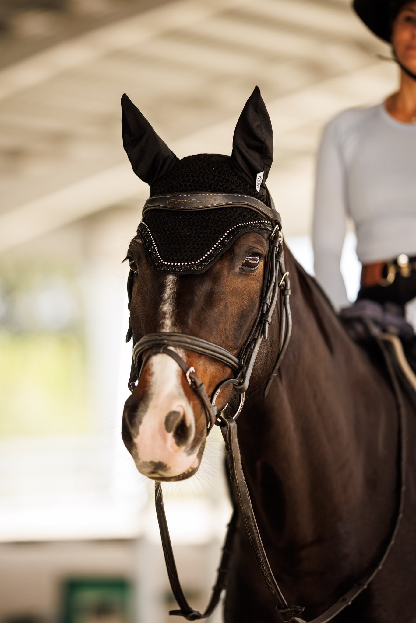 Basics Equestrian Ear Bonnet – Willow Equestrian