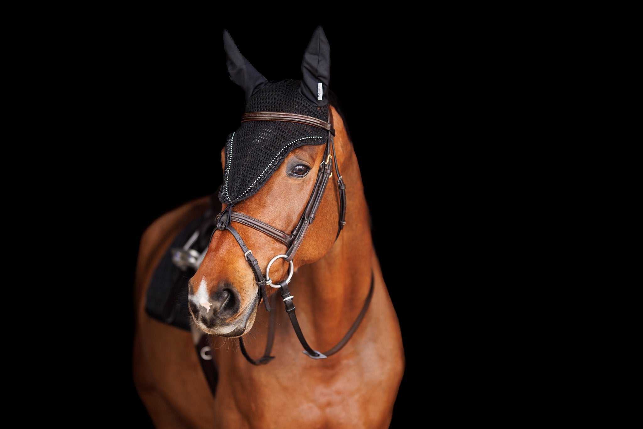 Basics Equestrian Tie Down Ear Bonnet – Willow Equestrian