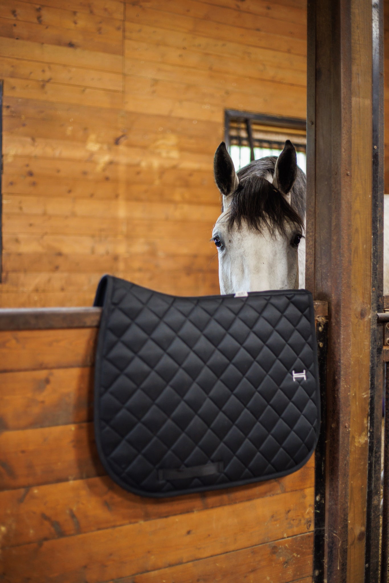 Basics Equestrian Saddle Pad Black – Willow Equestrian
