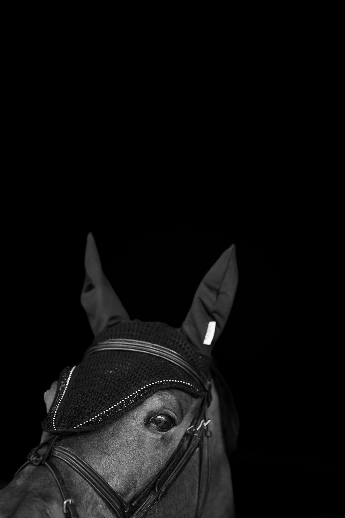 Basics Equestrian Tie Down Ear Bonnet – Willow Equestrian