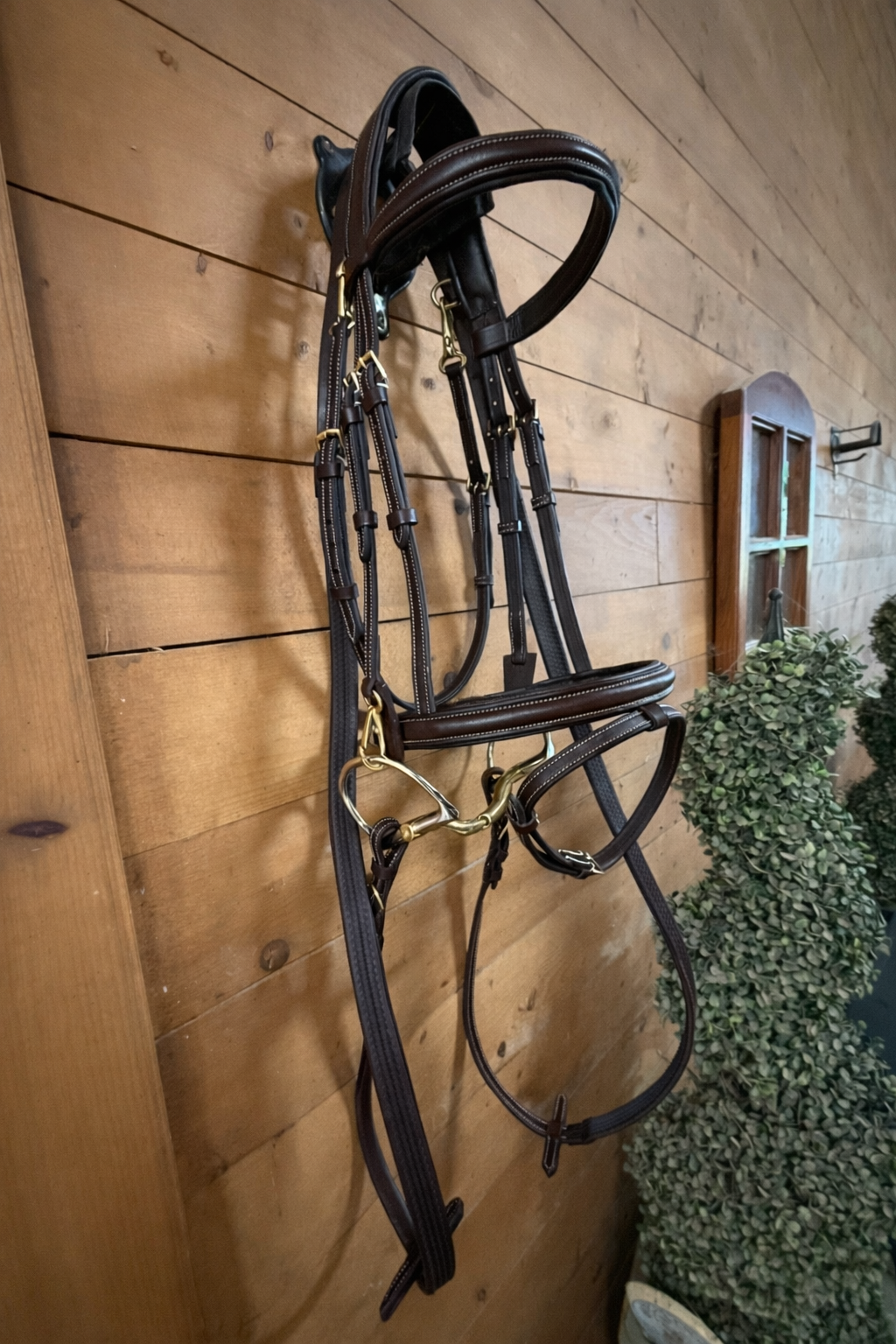 Brydalworx Signature Work Bridle – Willow Equestrian