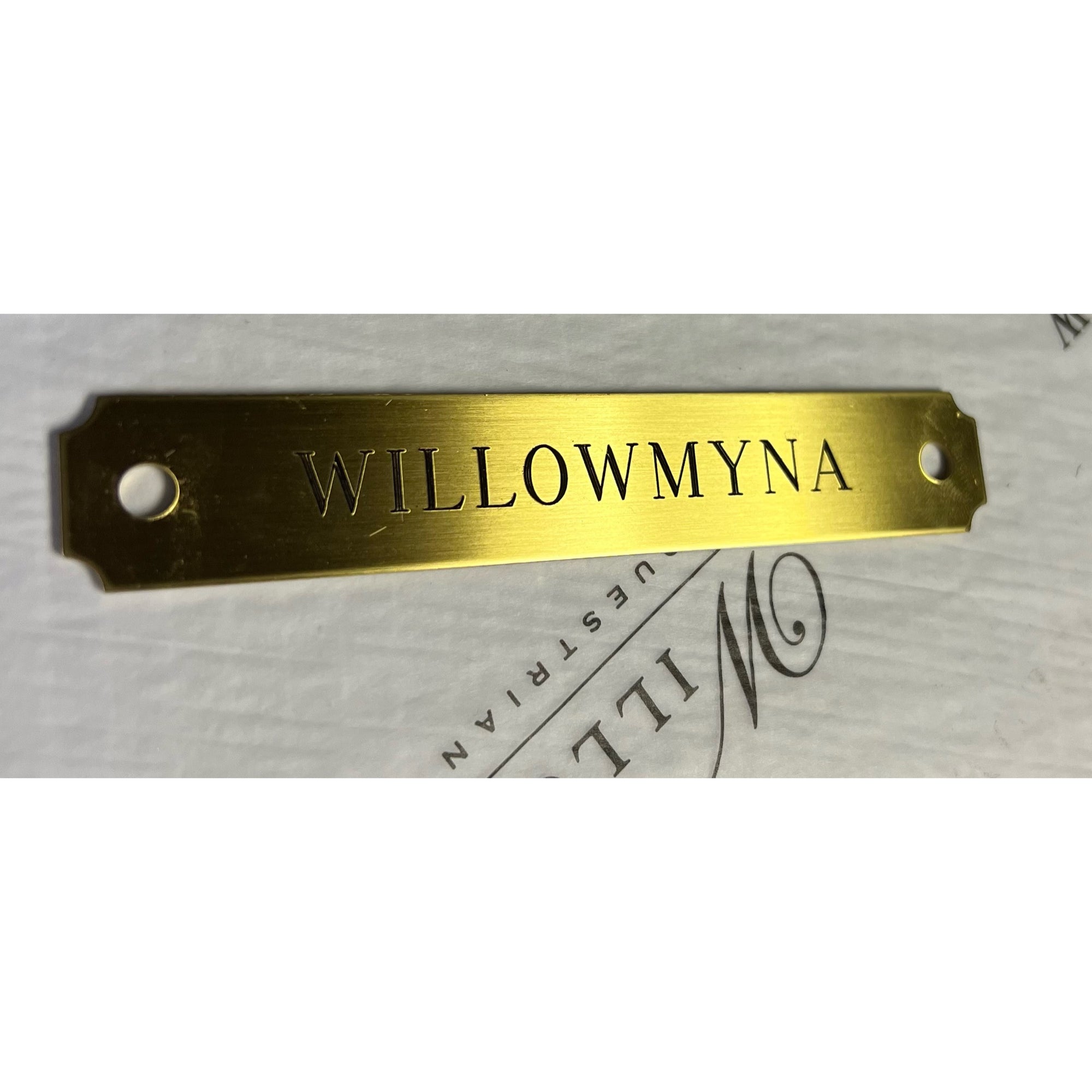 Engraved Brass Square Halter Plate – Willow Equestrian